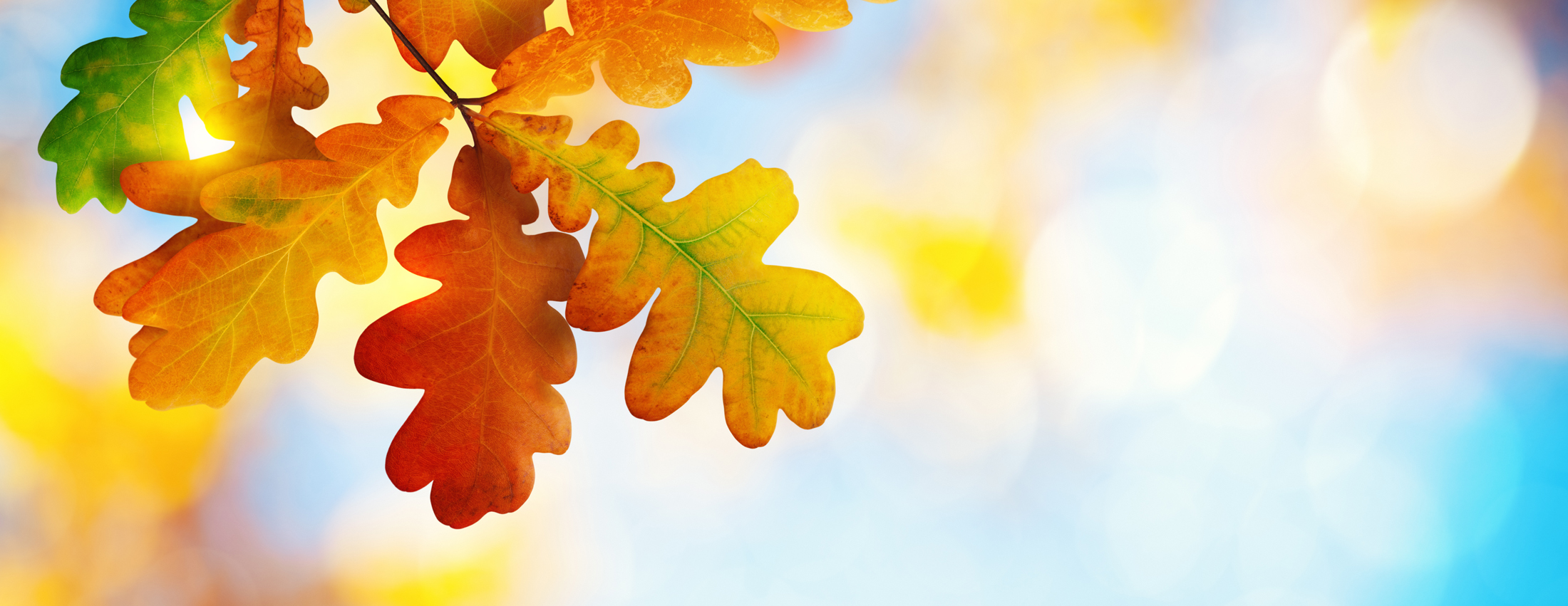 Creating a Wellness Display/Bulletin Board - Wellness Initiative ...